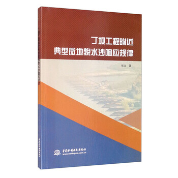 丁坝工程附近典型微地貌水沙响应规律