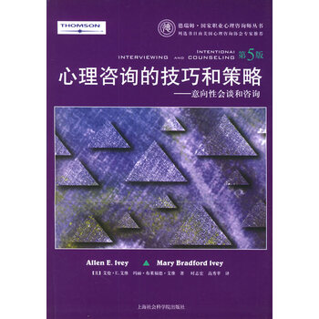 心理咨询的技巧和策略【正版图书】