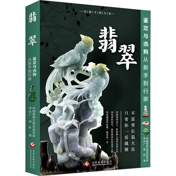 翡翠鉴定与选购从新手到行家 图书