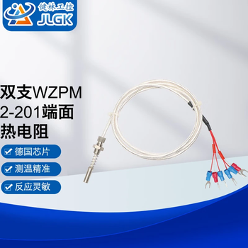 上海自动化仪表三厂端面热电阻WZPM-201 PT100双支六线 WZPM2-201 L=2000mm【图片 价格 品牌 报价】-京东