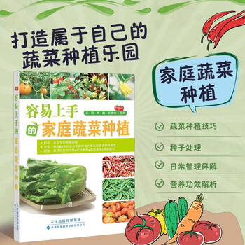 容易上手的家庭蔬菜种植
