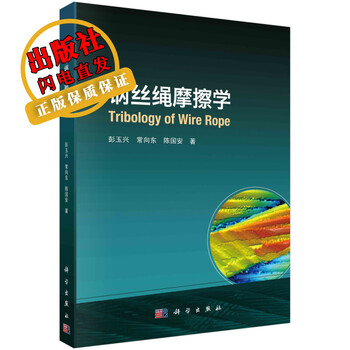 钢丝绳摩擦学/彭玉兴,常向东,陈国安