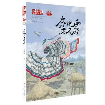 《文学》作家书系：奔跑的叉叉房 王勇英