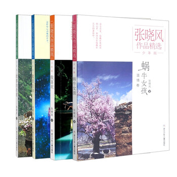 张晓风作品精选系列 共4册