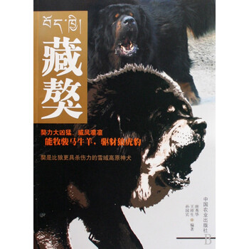 藏獒