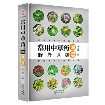 常用中药野外识别图谱【正版图书】