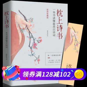 枕上诗书 一本书读懂最美古诗词