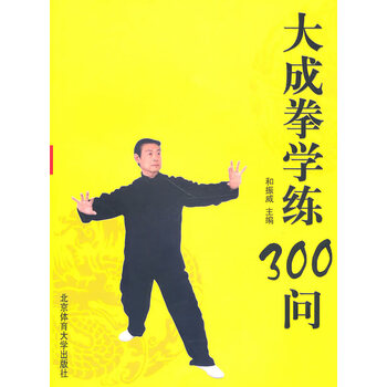 大成拳学练300问【正版图书】
