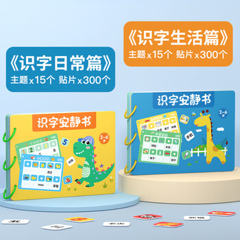 幼儿园识字安静书儿童启蒙早教认知认字卡片小儿宝宝益智玩具神器 全套30个主题（600张贴片/600字）