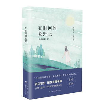 在时间的荒野上小说  图书