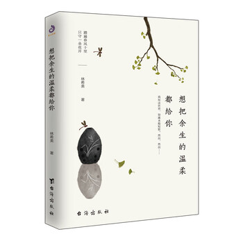 想把余生的温柔都给你【正版图书】