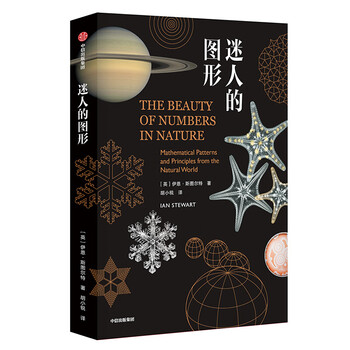 迷人的图形 中信出版社