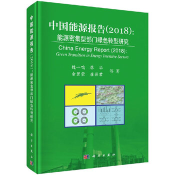 中国能源报告2018/魏一鸣