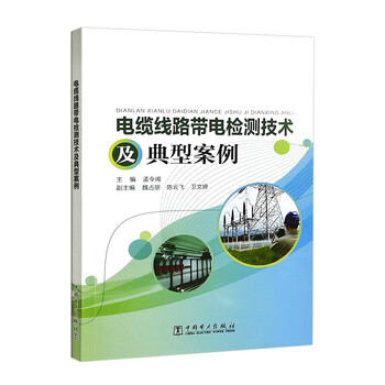 电缆线路带电检测技术及典型案例