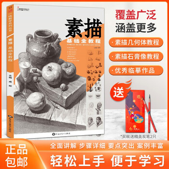 素描基础全教程 一线教学成辉素描静物石膏五官头像结构明暗零基础入门单个组合几何体临摹范本一本通美术绘画册教程材书籍