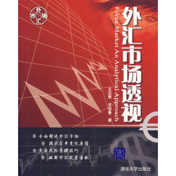 外汇市场透视【正版图书】