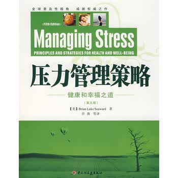 压力管理策略