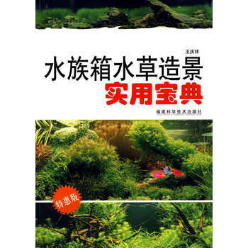 水族箱水造景实用宝典