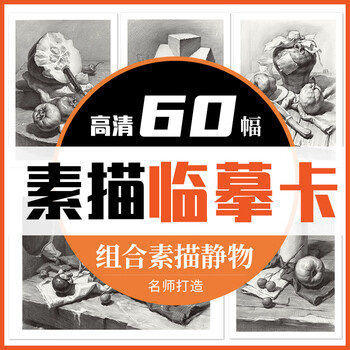 组合素描组合静物高清临摹卡一线名师打造文创作品礼物贺卡60幅精美原画手绘素描单体静物袋装活页艺术明信