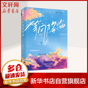 等风降临 图书