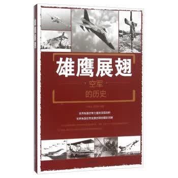 雄鹰展翅:空军的历史【正版图书】