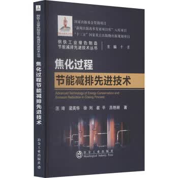 焦化过程节能减排先进技术 汪琦 等  书籍