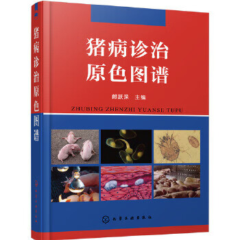 猪病诊治原色图谱 郎跃深 化学工业出版社 9787122360625