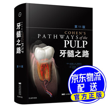 牙髓之路 第十一版