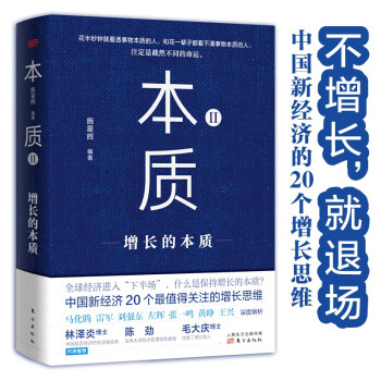 本质2：增长的本质 中国新经济20个值得关注的增长思维 施星辉著