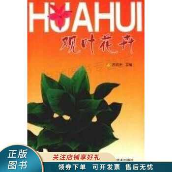观叶花卉
