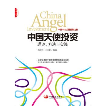 中国天使投资:理论、方法与实践