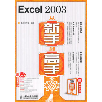 Excel2003从新手到高手