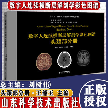 数字人连续横断层解剖学彩色图谱头颈部分册山东科学技术出版社9787572306754刘树伟等