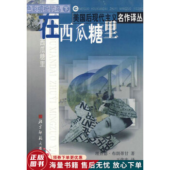 在西瓜糖里美国后现代主义名作译品