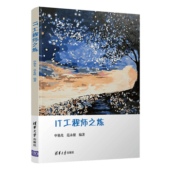 IT工程师之炼 申艳光 清华大学出版社