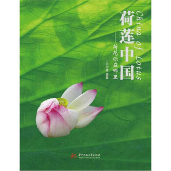 荷莲中国:荷花你在哪里9787568016179 华中科技大学出版社