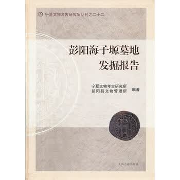 彭阳海子塬墓地发掘报告