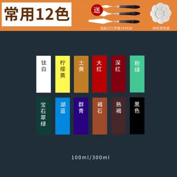 丙烯颜料防水手绘画材料diy墙绘彩绘工具24色画鞋子12色300ml白色炳稀染料不掉色儿童涂鸦丙 常用12色 300ml