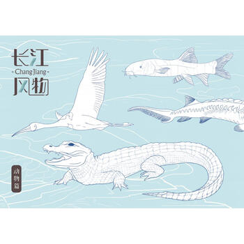 【自选】长江风物系列明信片 主题套装创意明信片 一套12张 上海科技教育出版社 动物篇