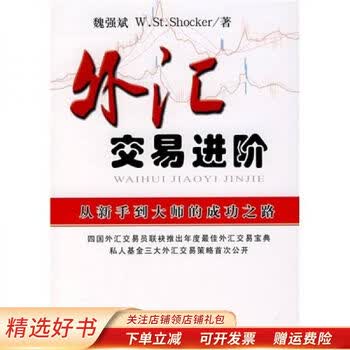 外汇交易进阶：从新手到大师的成功之路 魏强斌