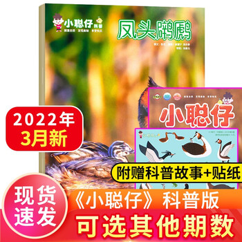 【新期到】小聪仔科普版2022年6月 蘑菇是植物吗【单本多期可选】幼儿益智兴趣智力开发低年级儿童科普百科自然探索奥秘非2021过期刊 【单本】科普版2022年3月