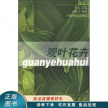 观叶花卉 贺振