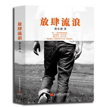 放肆流浪【保证正版】