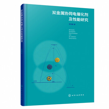 双金属协同电催化剂及性能研究
