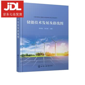 储能技术发展及路线图 陈海生 9787122374400