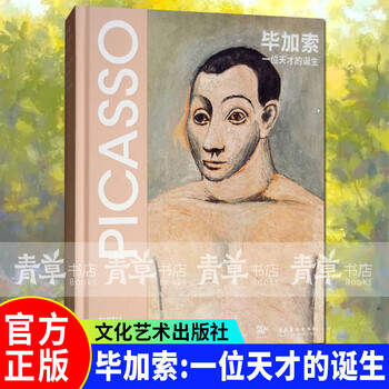 毕加索:一位天才的诞生  绘画 书籍