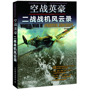 空战英豪:二战战机风云录