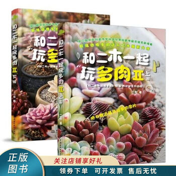 和二木一起玩多肉2下 二木