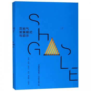 页岩气发展模式与启示(精)/中国能源新战略