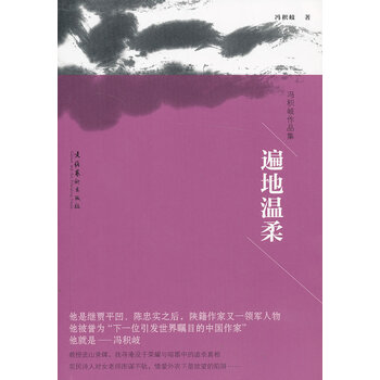 冯积岐作品集:遍地温柔